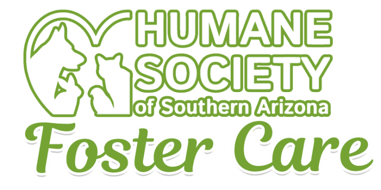Foster Care | Humane Society of Southern Arizona