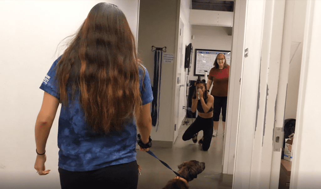 Nova is reunited with her family! | Humane Society of Southern Arizona